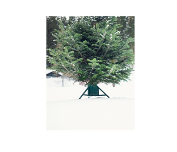 Buy Tree Nest - TN-G-G-L - Large Geometric Green Tree Stand Online in ...
